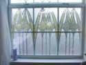 Designer Windows - Gallery of Stained Glass Overlay Windows